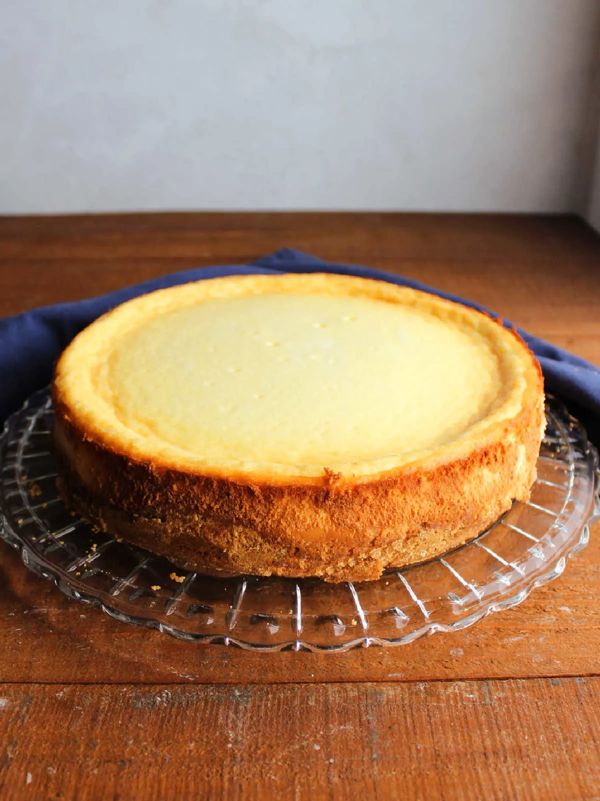 Cheesecake With Condensed Milk - Cooking With Carlee