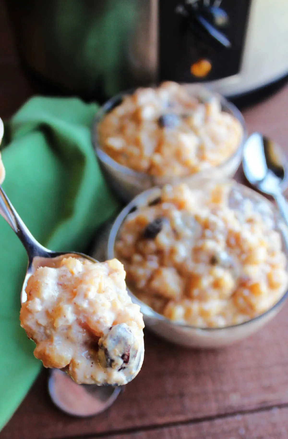 Slow Cooker Rice Pudding with Condensed Milk - Cooking With Carlee