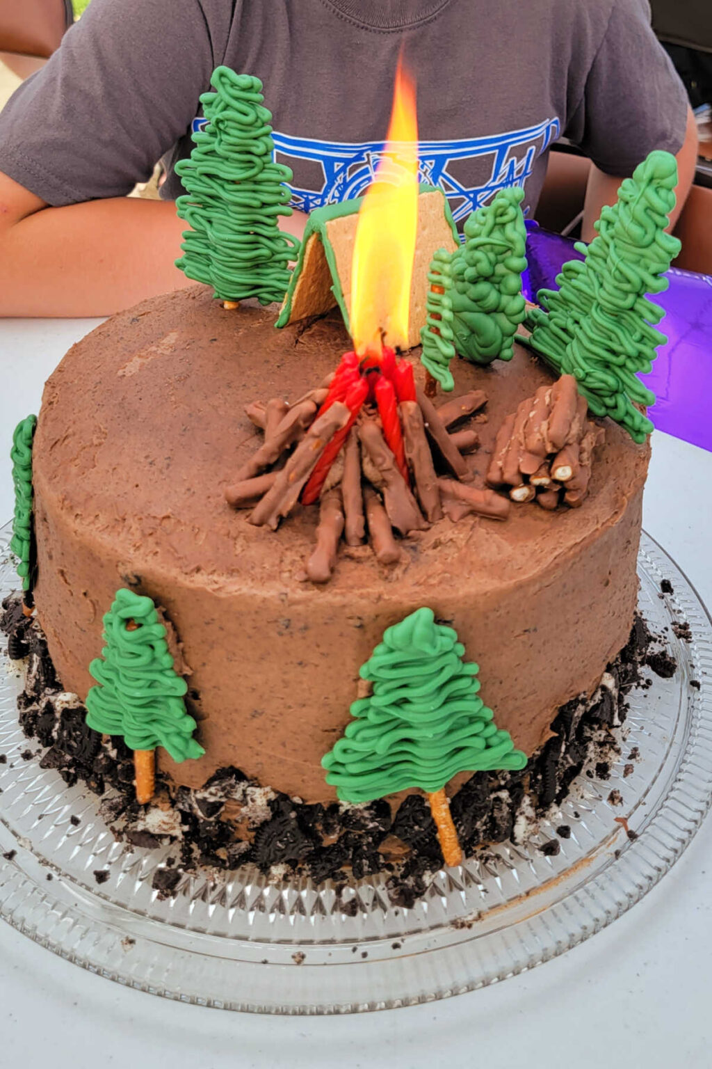 DIY Camping Cake - Cooking With Carlee