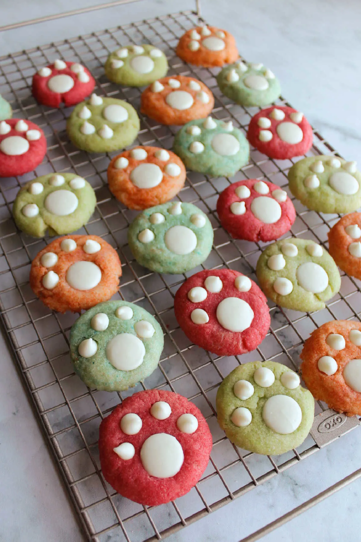 Fruity Paw Print Cookies - Cooking With Carlee