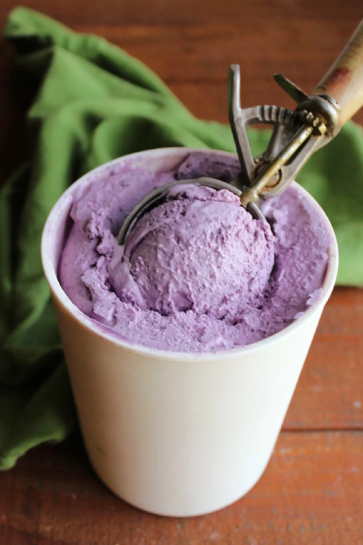 Homemade Blueberry Ice Cream - Cooking With Carlee