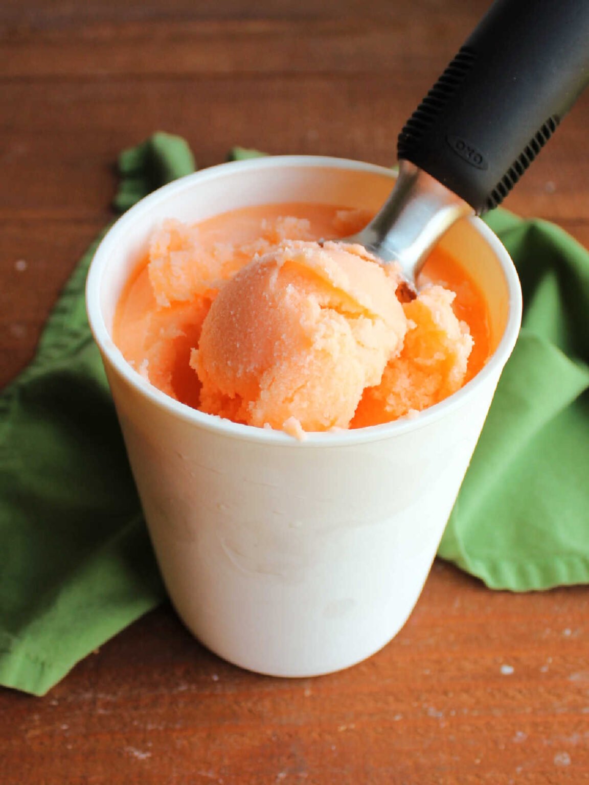 2 Ingredient Orange Sherbet - Cooking With Carlee